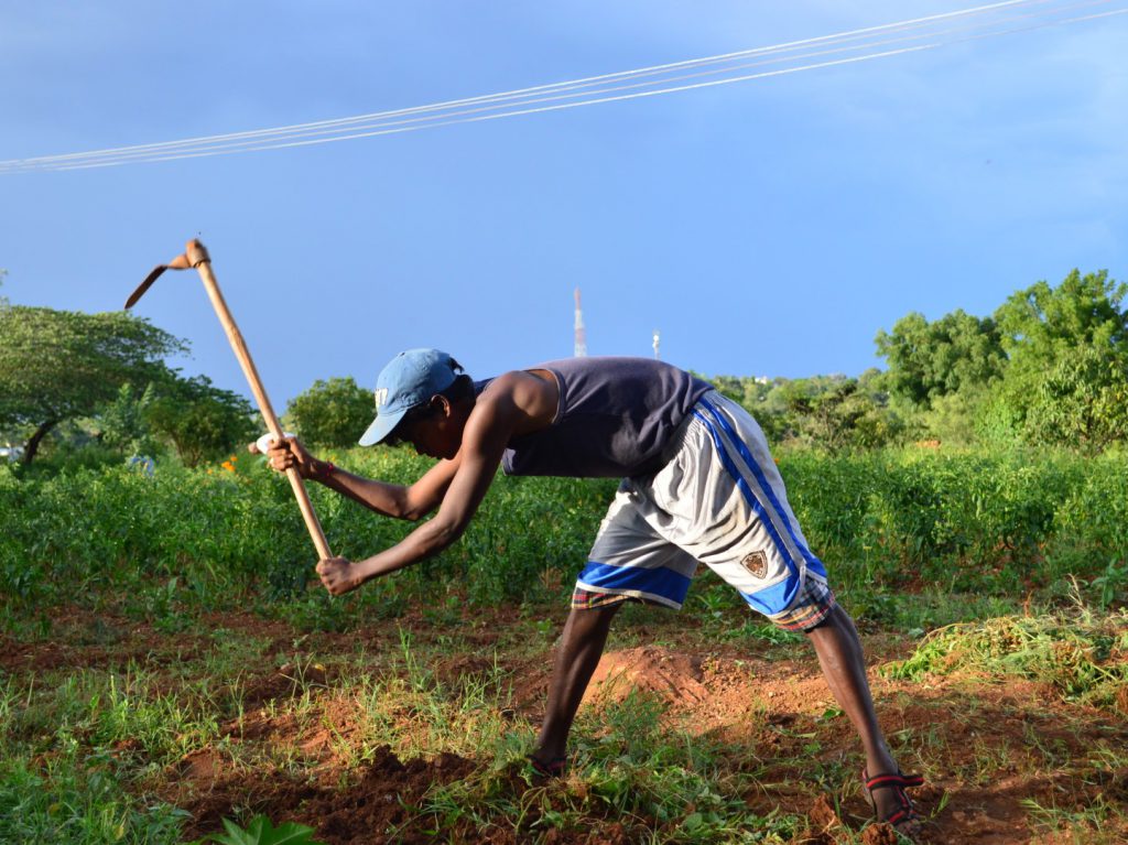 Friends of Camphill India – Building Bridges